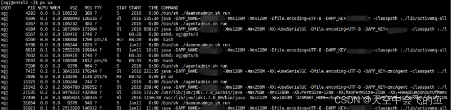 精通Linux的“kill”命令_kill: usage: kill [-s sigspec | -n signum | -sigsp-CSDN博客