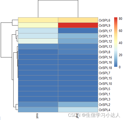 利用R语言中pheatmap绘制热图_pheatmap热图代码-CSDN博客