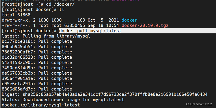 Docker容器部署mysql数据库 Docker部署mysql Csdn博客