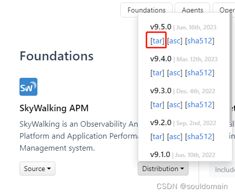 全链路跟踪——Skywalking安装集成（三）_skywalking下载-CSDN博客