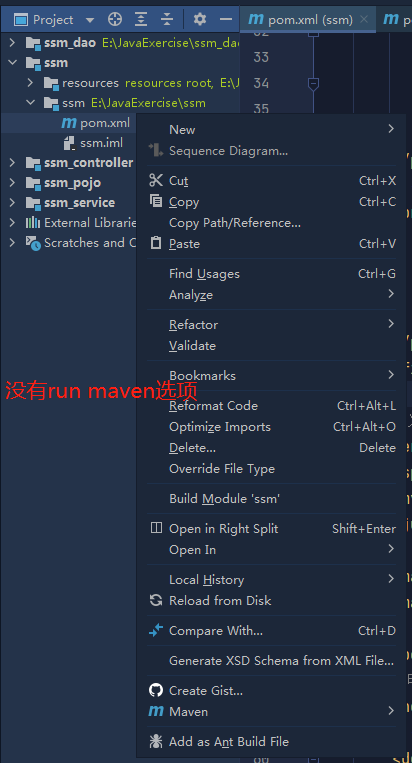 idea 项目右键没有 run maven 选项_idea没有run maven选项-CSDN博客