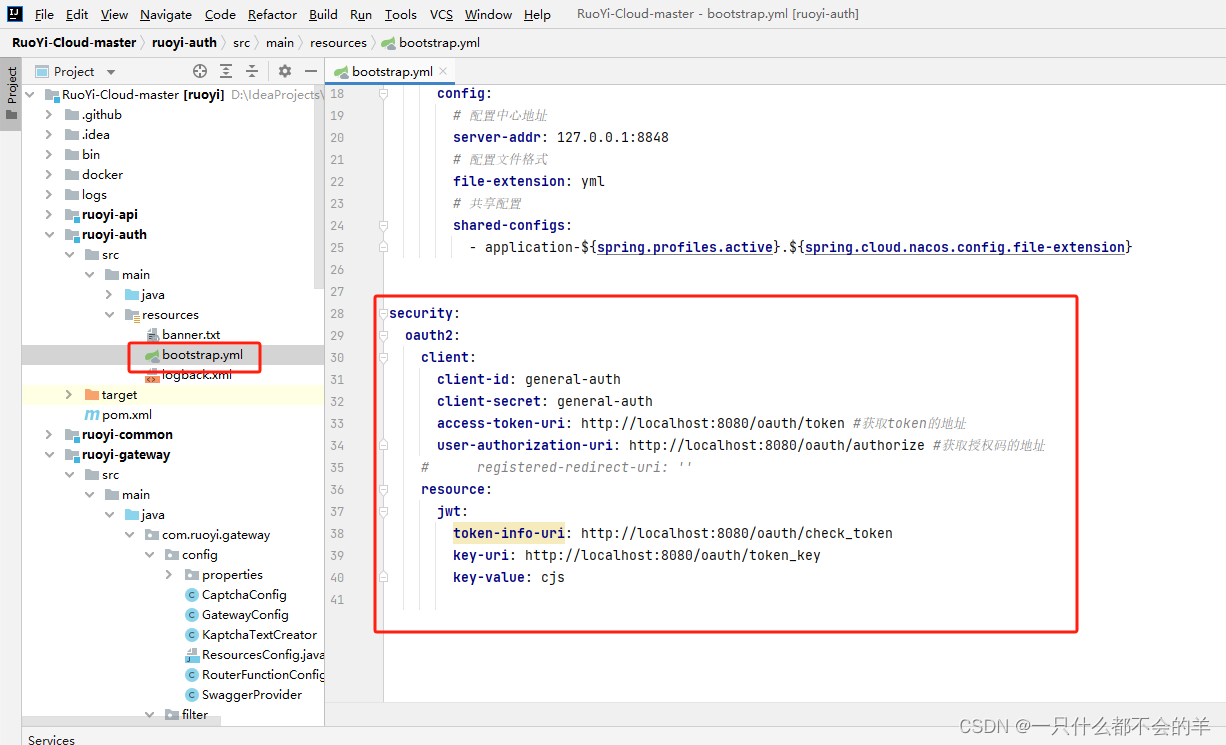 求助：若依前后端分离框架跨域问题strict-origin-when-cross-origin_ruoyi strict-origin-when-cross-origin-CSDN博客