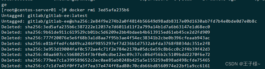 2023 docker 卸载gitlab-CSDN博客