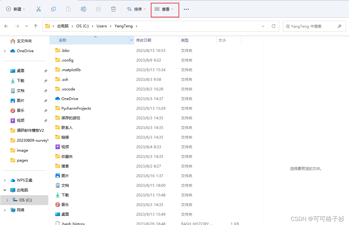 AppData文件夹找不到-CSDN博客