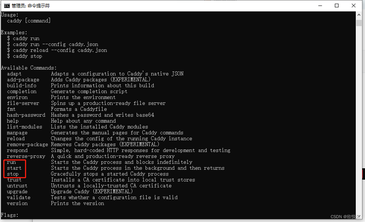 Windows服务Nssm与Caddy2反向代理_caddy windows-CSDN博客