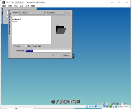 从0开始使用TinyCore 配置PYTHON环境-CSDN博客
