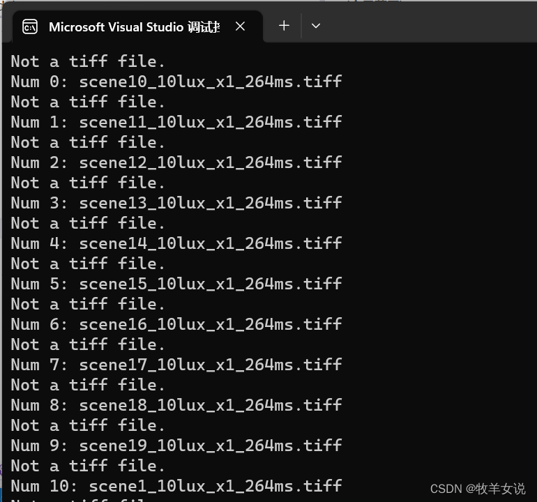 C++使用filesystem的directory_iterator遍历文件_directoryiterator-CSDN博客