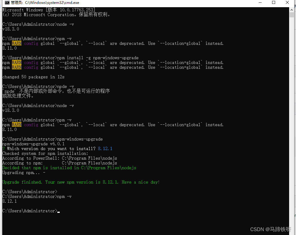 下载完node时npm V出现warningnpm Install Global Production Npm Windows