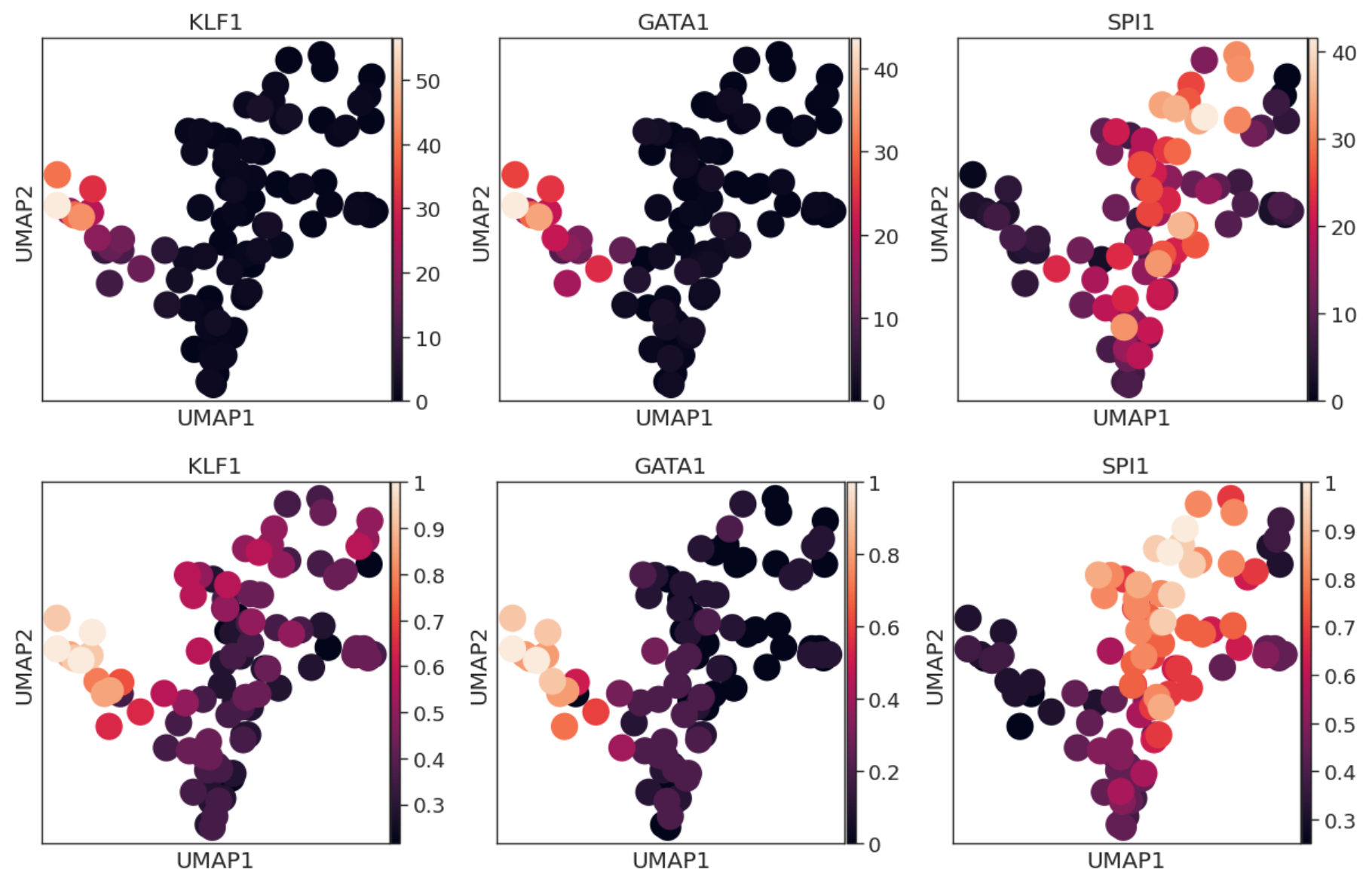 【SEACells Tutorial（一）：基于SEACells的scATAC-seq经典下游分析】_seacells infers transcriptional and ...