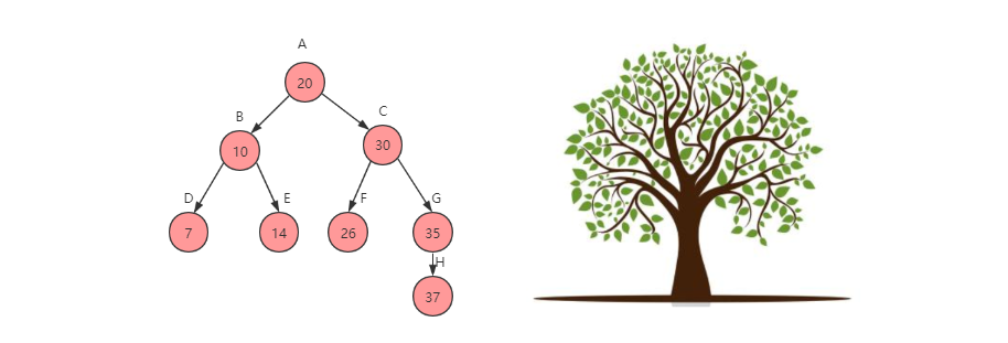 【数据结构与算法】数据结构与算法之树Tree（Java版）_java tree-CSDN博客