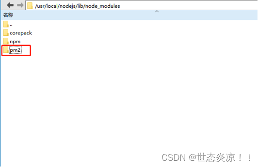 Pm2离线在线安装 Pm2离线安装 Csdn博客