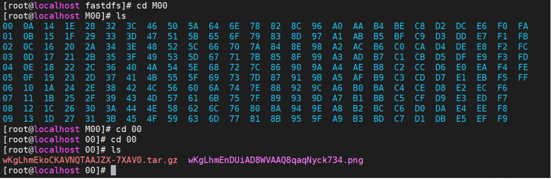 FastDFS单机、单节点和多节点集群部署文档_dfs多节点部署-CSDN博客