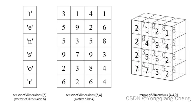 Tensor (张量) - 神经网络中的数据结构_人工神经网络张量-CSDN博客