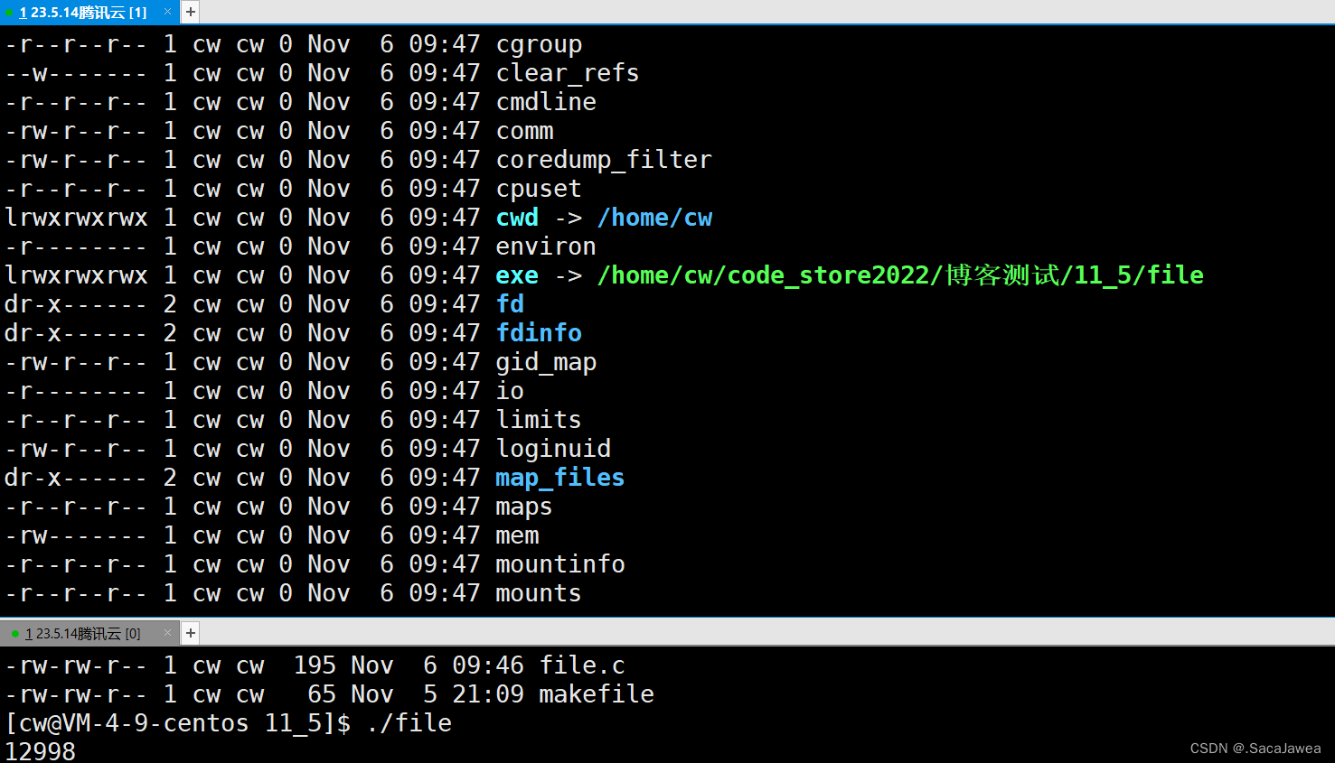 Linux | 文件描述符理解 | 系统级别的文件操作讲解 | 一切皆文件的由来 | 重定向dup2函数讲解_linux dup2 函数 文件记录-CSDN博客