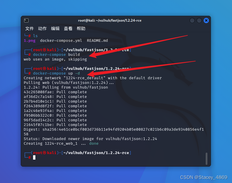 在kali上配置vulhub环境_kali 搭建 vulhub-CSDN博客