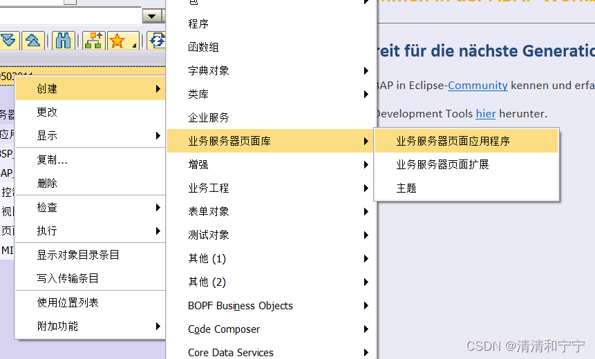 SAP BSP网页端开发-CSDN博客