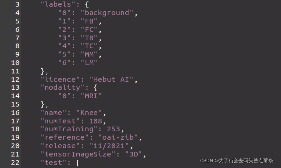在ubuntuwindows中安装nnunet并训练自己的数据windows Nnunet Csdn博客