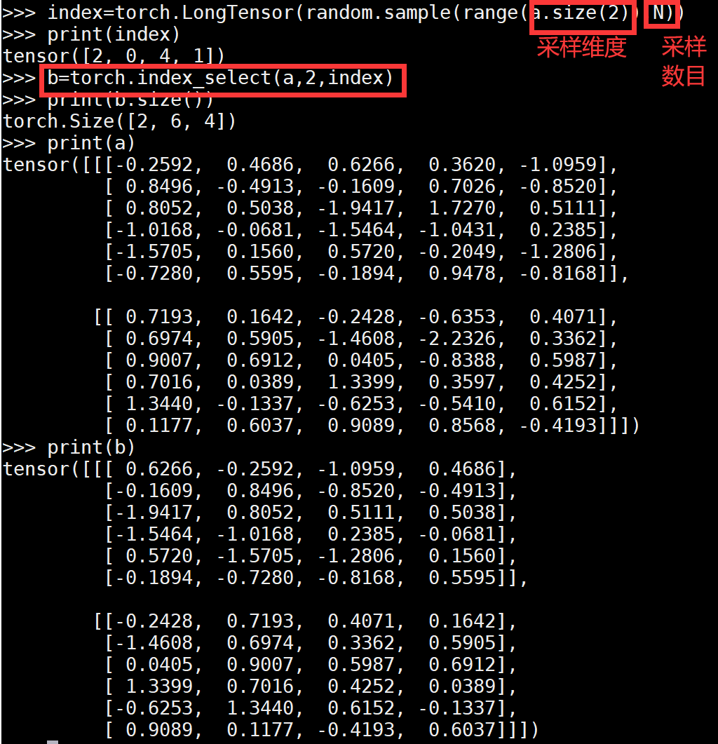Pytorch 对三维向量进行随机采样torch随机从向量中选取n个数 Csdn博客 