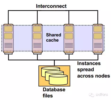 Oracle RAC详解-CSDN博客