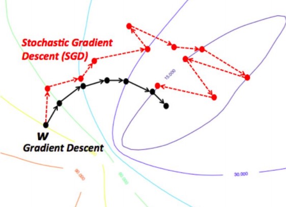 深度学习中常用优化器（SGD, Momentum, Nesterov Momentum, AdaGrad, RMS Prop, Adam）的伪 ...