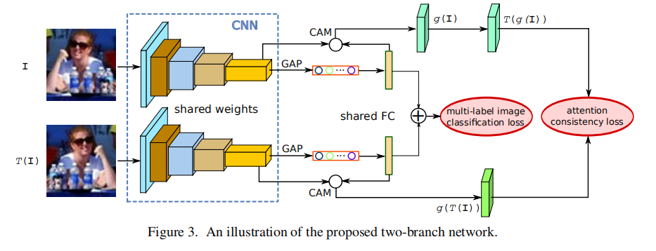 【论文阅读】[VAC] Visual Attention Consistency under Image Transforms for Multi-Label Image ...