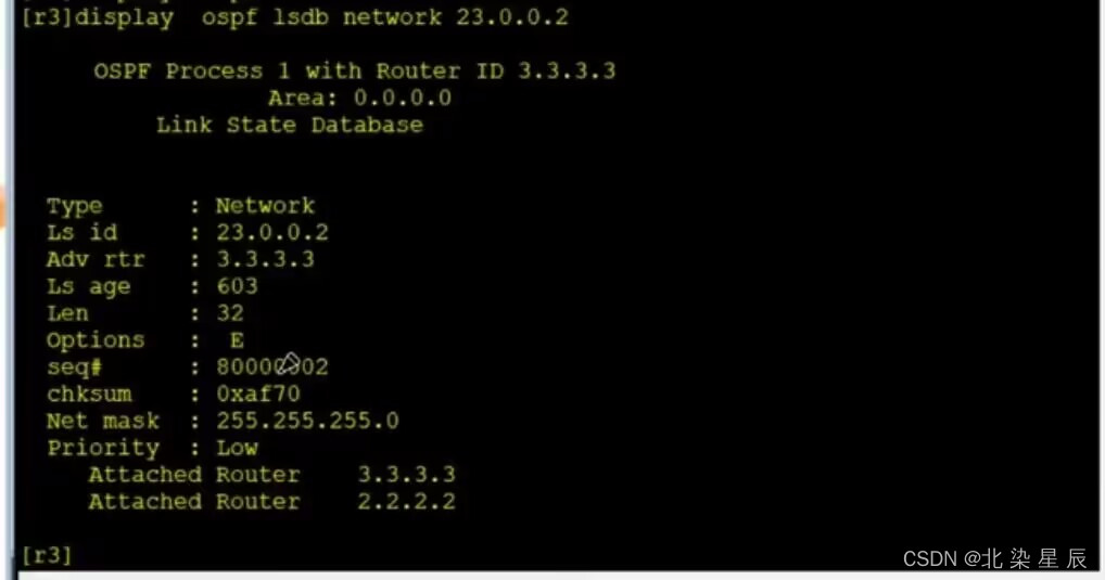 HCIP---OSPF--LSA详解_ospflsa老化时间到达30分钟会怎样-CSDN博客