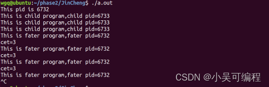 Vfork创建进程调用vfork编写一段程序在子进程中修改变量并在父进程中观察其影响。 【程序】 Csdn博客