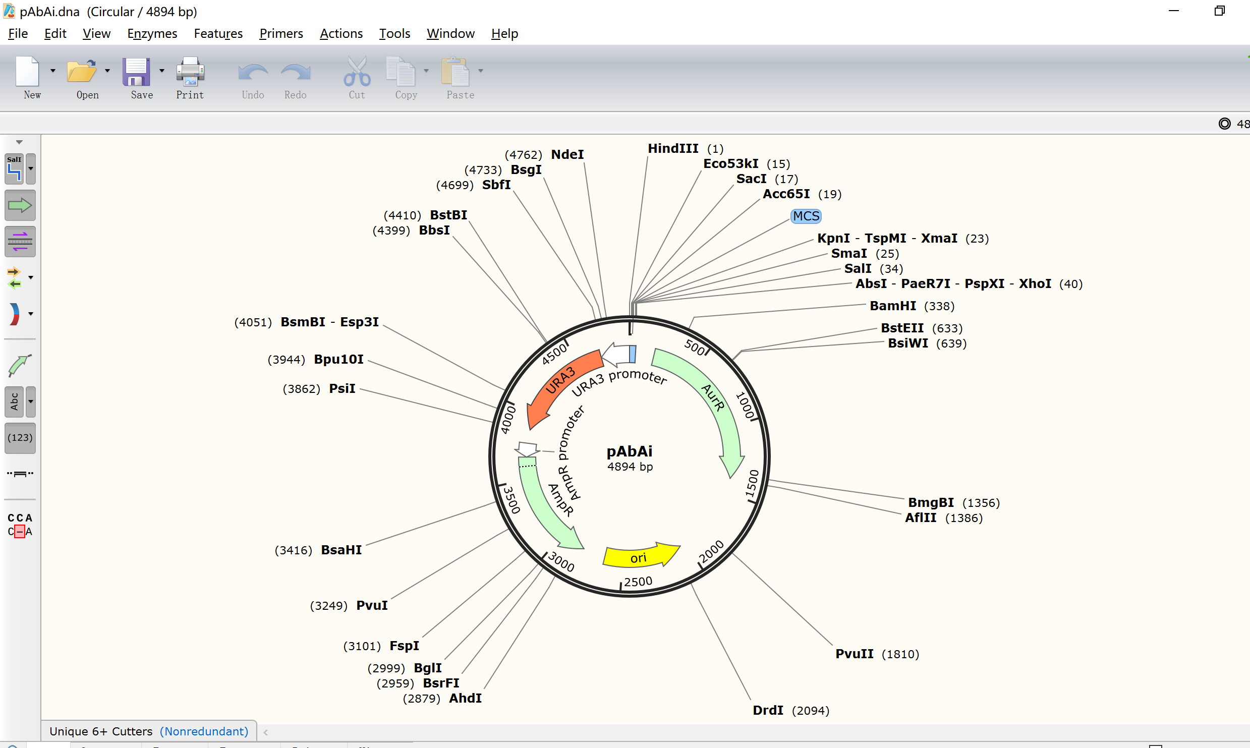 质粒图谱的下载及生物软件SnapGene的使用_质粒图谱下载-CSDN博客