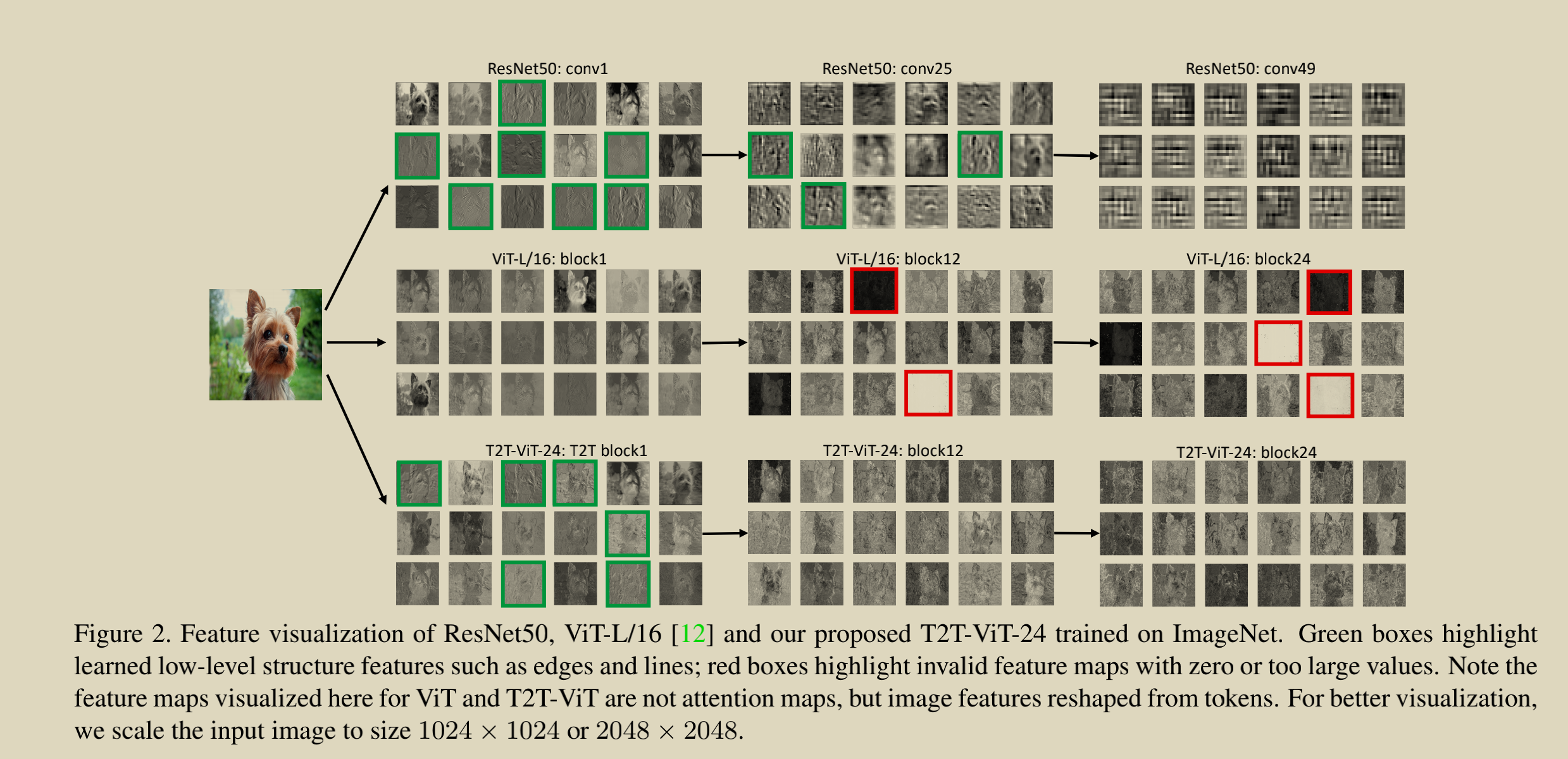 Transformer主干网络——T2T-ViT保姆级解析_t2t分类模型-CSDN博客