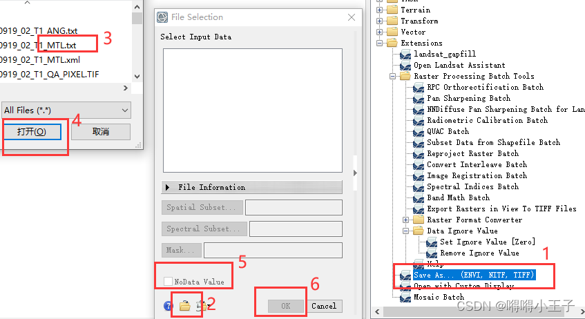 ENVI5.3 遥感数据(MTL文件)的简单打开_envi该文件不是标准的栅格数据-CSDN博客