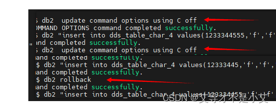DB2数据库中，表，分区表，索引，约束，存储过程，函数，注释命令。_db2 organize by-CSDN博客