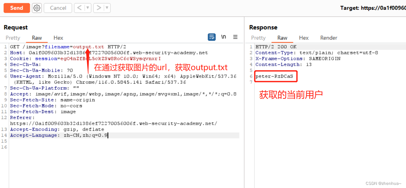 系统命令注入漏洞（OS command injection）的简单例子。-CSDN博客