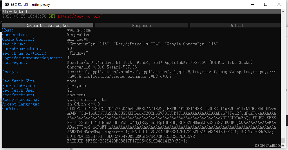 mitmproxy小白安装使用教程_mitmproxy安装-CSDN博客