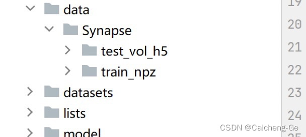 TransUnet数据集 处理好的Synapse病例数据 直接用_synapse数据集-CSDN博客