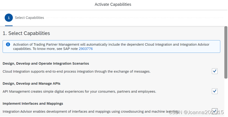 订阅BTP上的SAP Integration Suite-CSDN博客