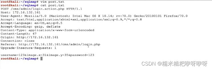 全自动注入SqlMap_sql map 注入 自动-CSDN博客