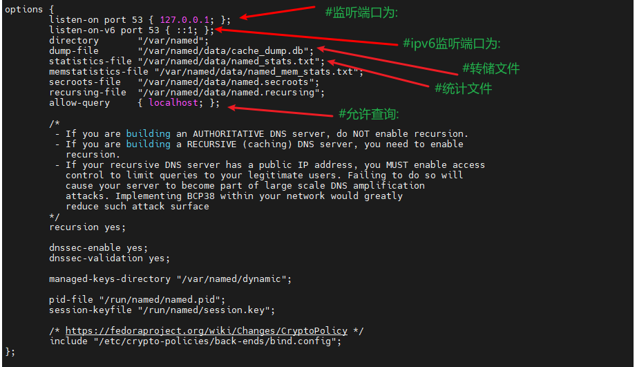 Centos7.9 DNS的基础_centos7.9配置dns-CSDN博客