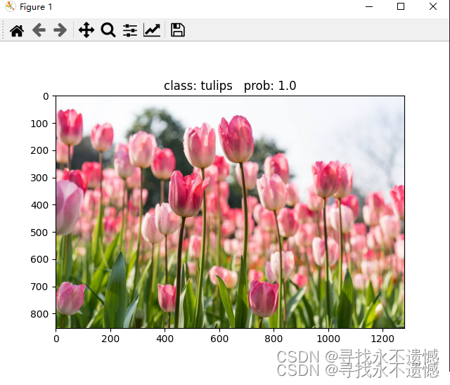 【MobileNetV2 Mydataset】MobileNetV2训练自定义分类数据集_mobilenet训练自己的数据集-CSDN博客