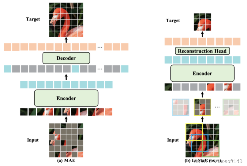 LoMaR_loma level 1 csdn-CSDN博客