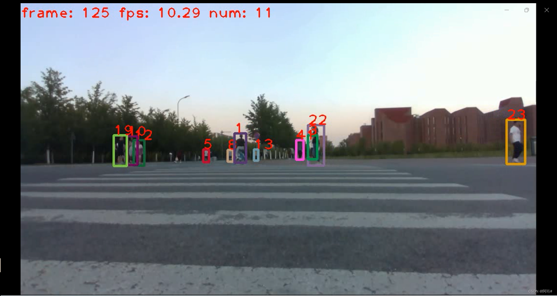 BOT_SORT复现（Ubuntu20.04）_bot sort-CSDN博客