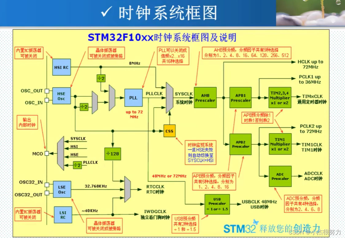 Stm32时钟系统用stm32 开发usb 外设应该采用哪种时钟源 Csdn博客 