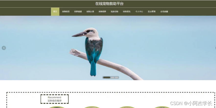 计算机毕业设计（附源码）python在线宠物救助平台宠物救助系统后台首页 Csdn博客 