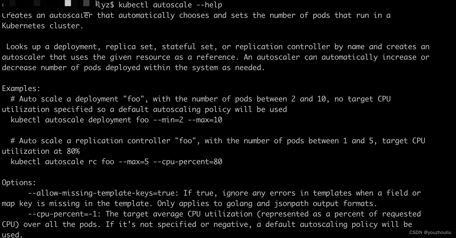 kubectl 命令详解（九）：autoscale_kubectl autoscale-CSDN博客