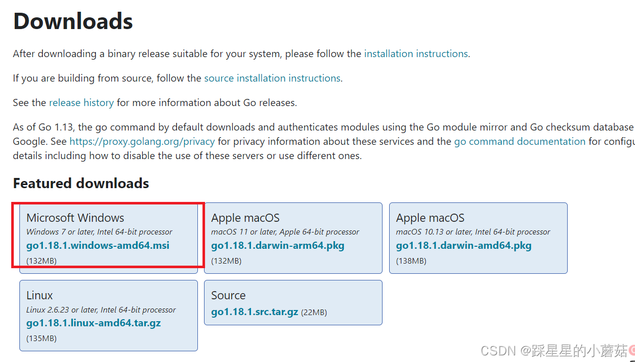 VSCode+Go安装及环境配置_coderunner 配置go-CSDN博客