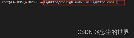 【章节 一】嵌入式Web Server Lighttpd安装、配置、开发详细流程_嵌入式webserver-CSDN博客