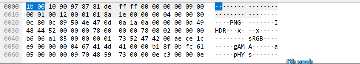 [SUCTF2019]protocol-CSDN博客