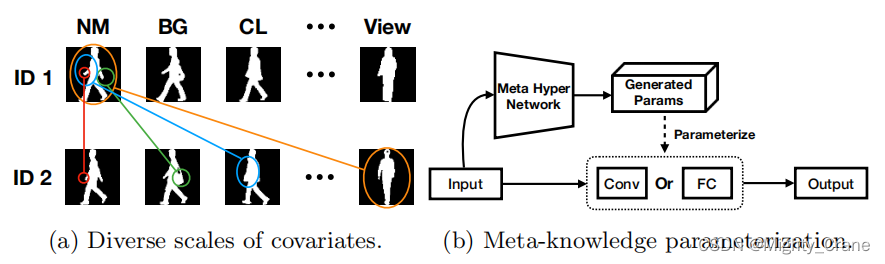 读《MetaGait: Learning to Learn an Omni Sample Adaptive Representation for Gait Recognition》-CSDN博客