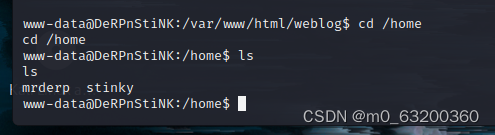 VulnHun实战——DerpNStink:1-CSDN博客