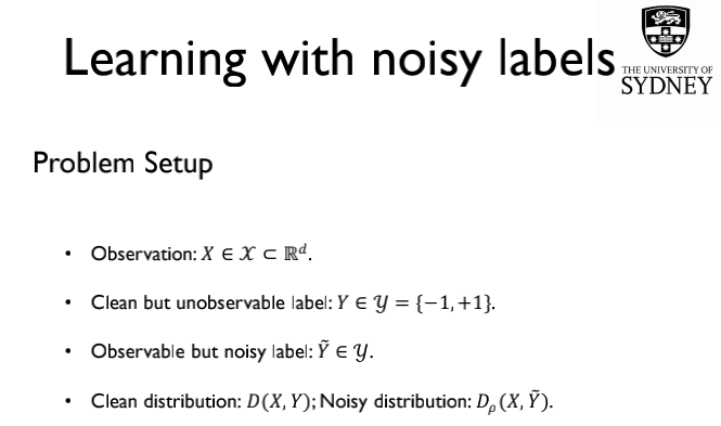 5328笔记 Advanced ML Chapter9-Learning with Noisy Data II: Label Noise_什么是lable noise-CSDN博客